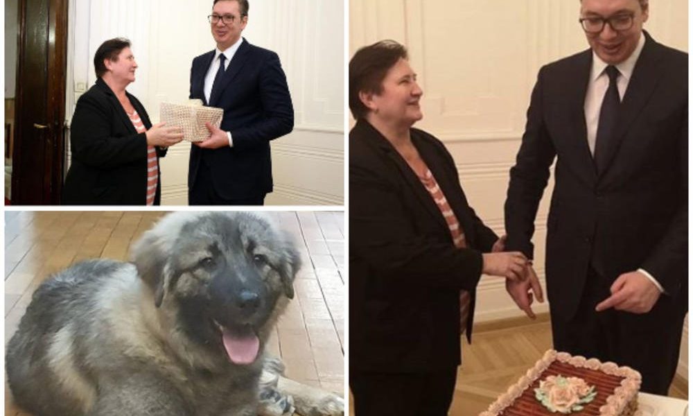 POKLON S MAŠNOM I DOBOŠ TORTA ZA VUČIĆA: Predsednik od ranog jutra prima rođendanske darove ...